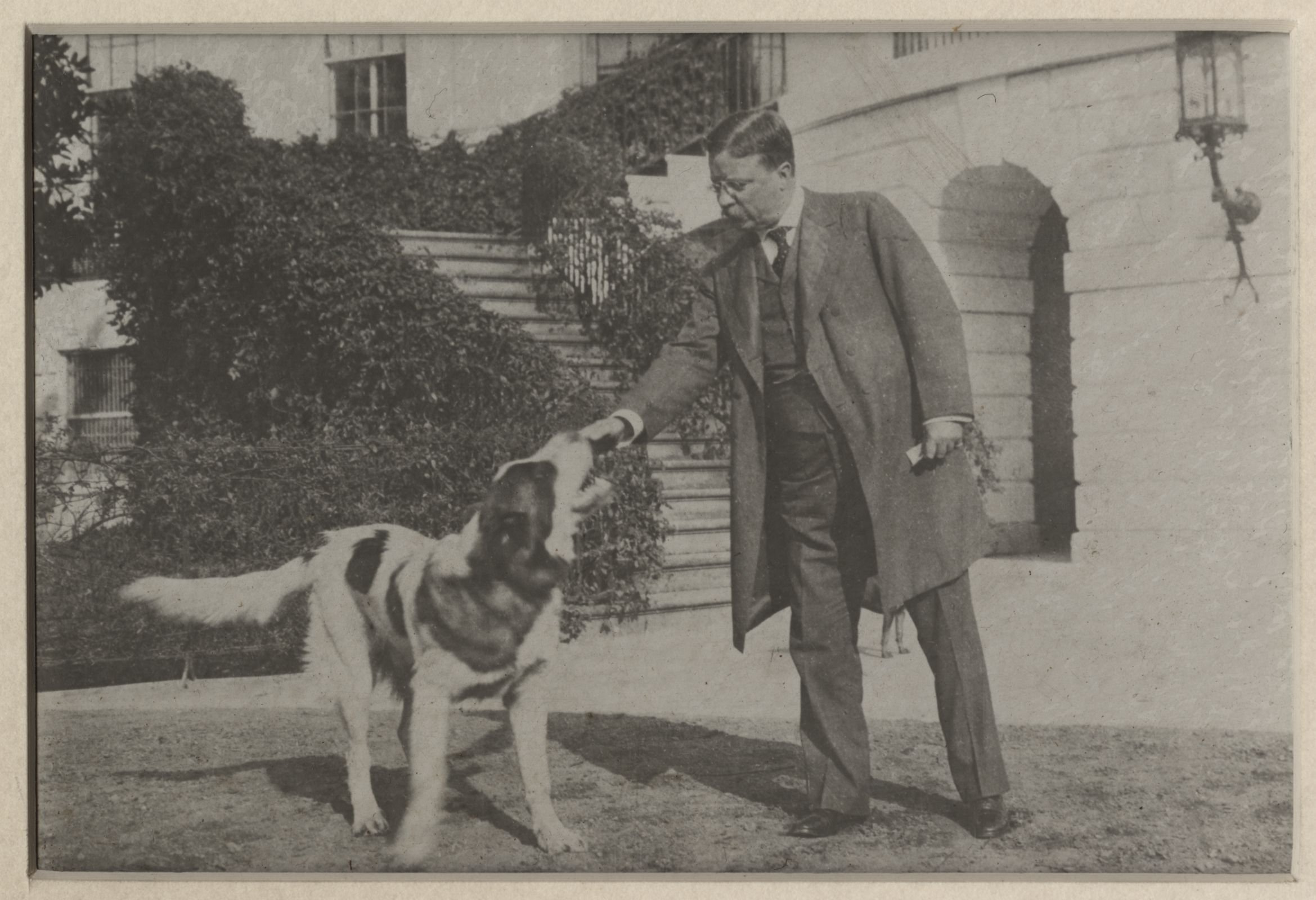 TR and Animals Quiz | Theodore Roosevelt Presidential Library